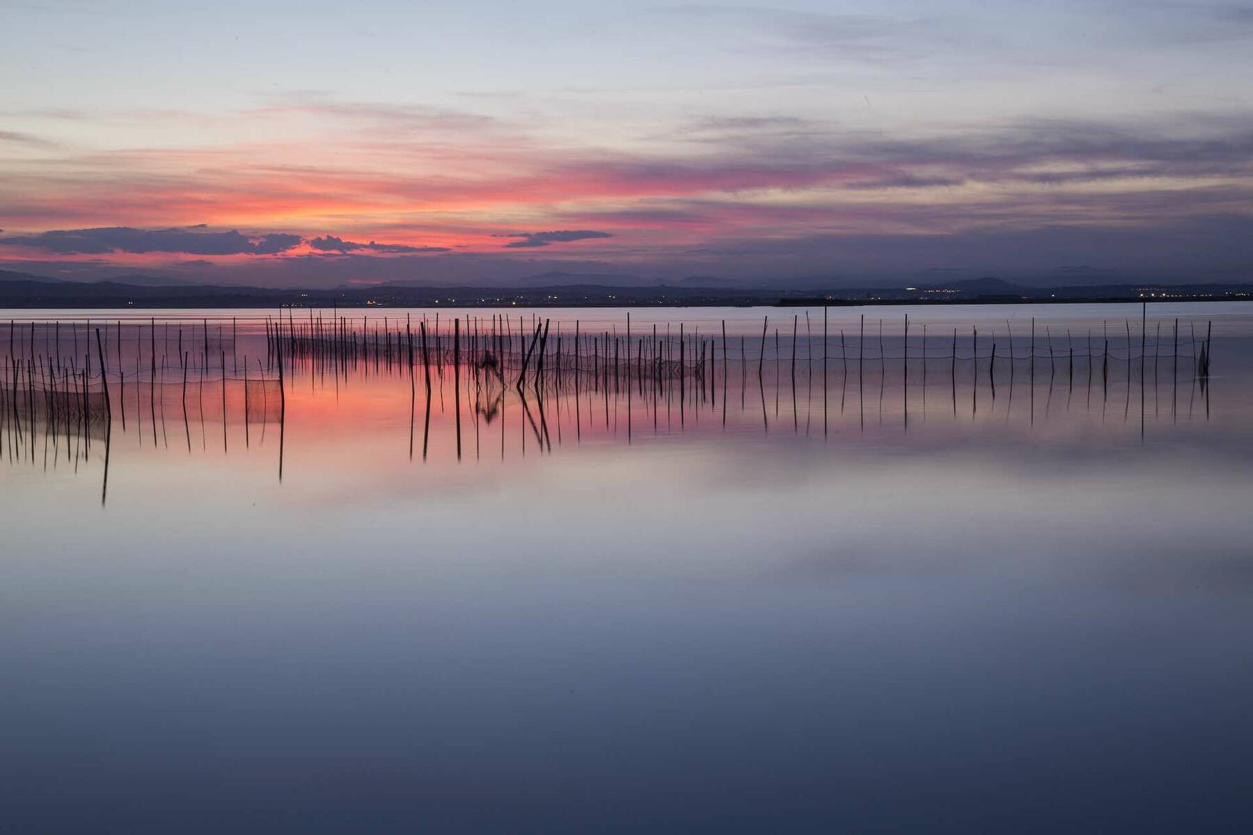 Parc Natural de l’Albufera - Compare Tickets & Tours from Different ...