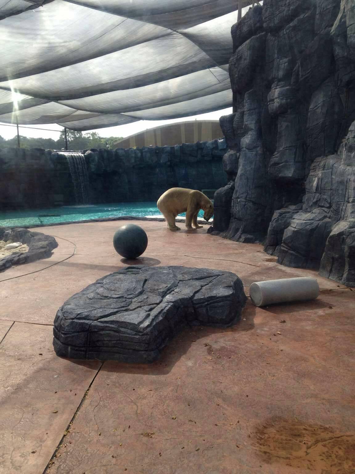 Singapore Zoo Map Frozen Tundra Singapore Zoo – TripHock