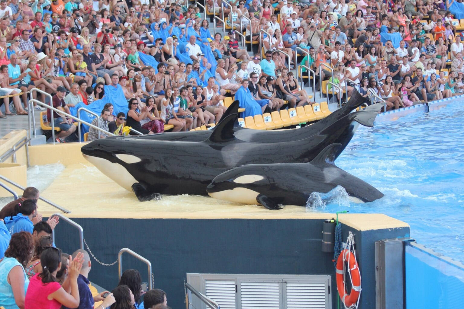 Loro Parque, Tickets | TicketLens
