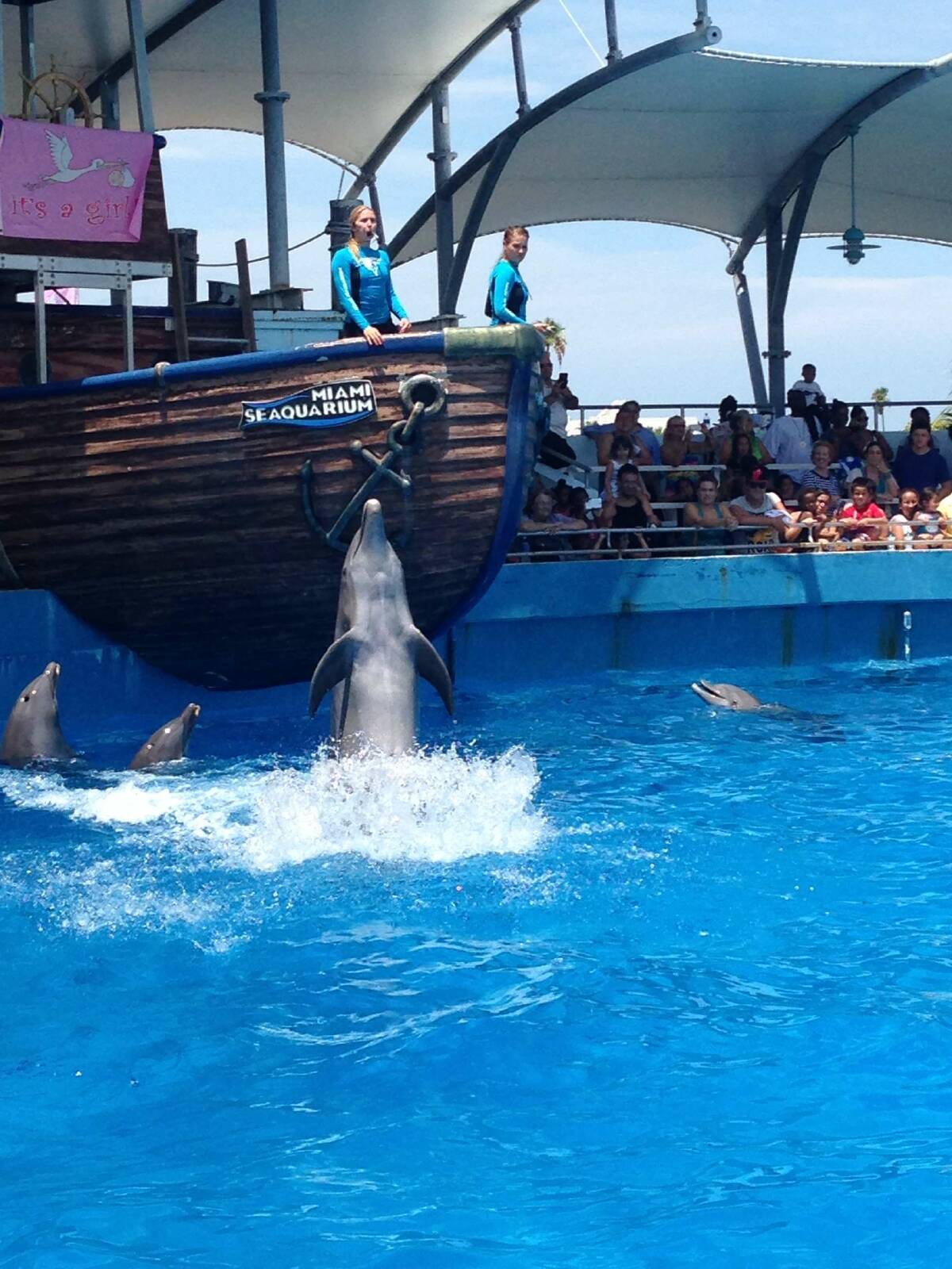 Miami Seaquarium | Vergleiche Tickets ohne Anstehen | TicketLens